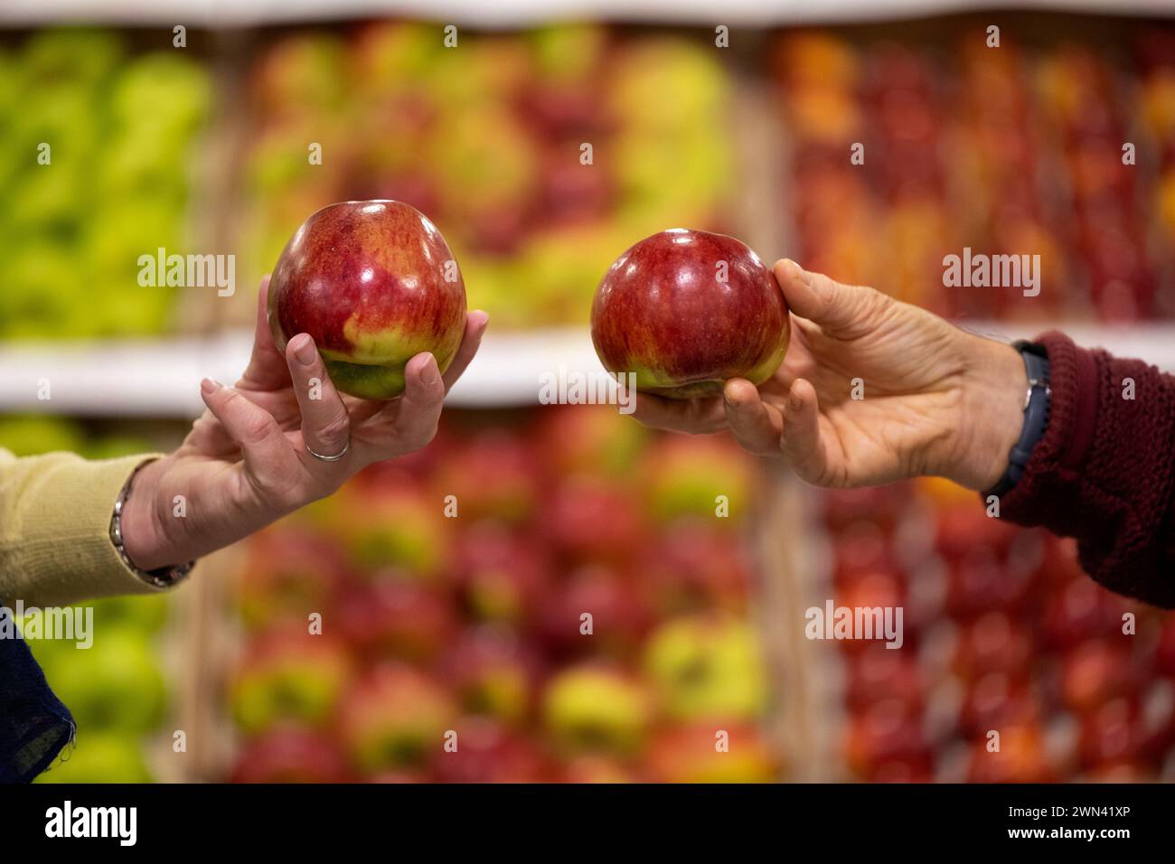 01/11/22 The 89th National Fruit Show at The Kent County Showground ...
