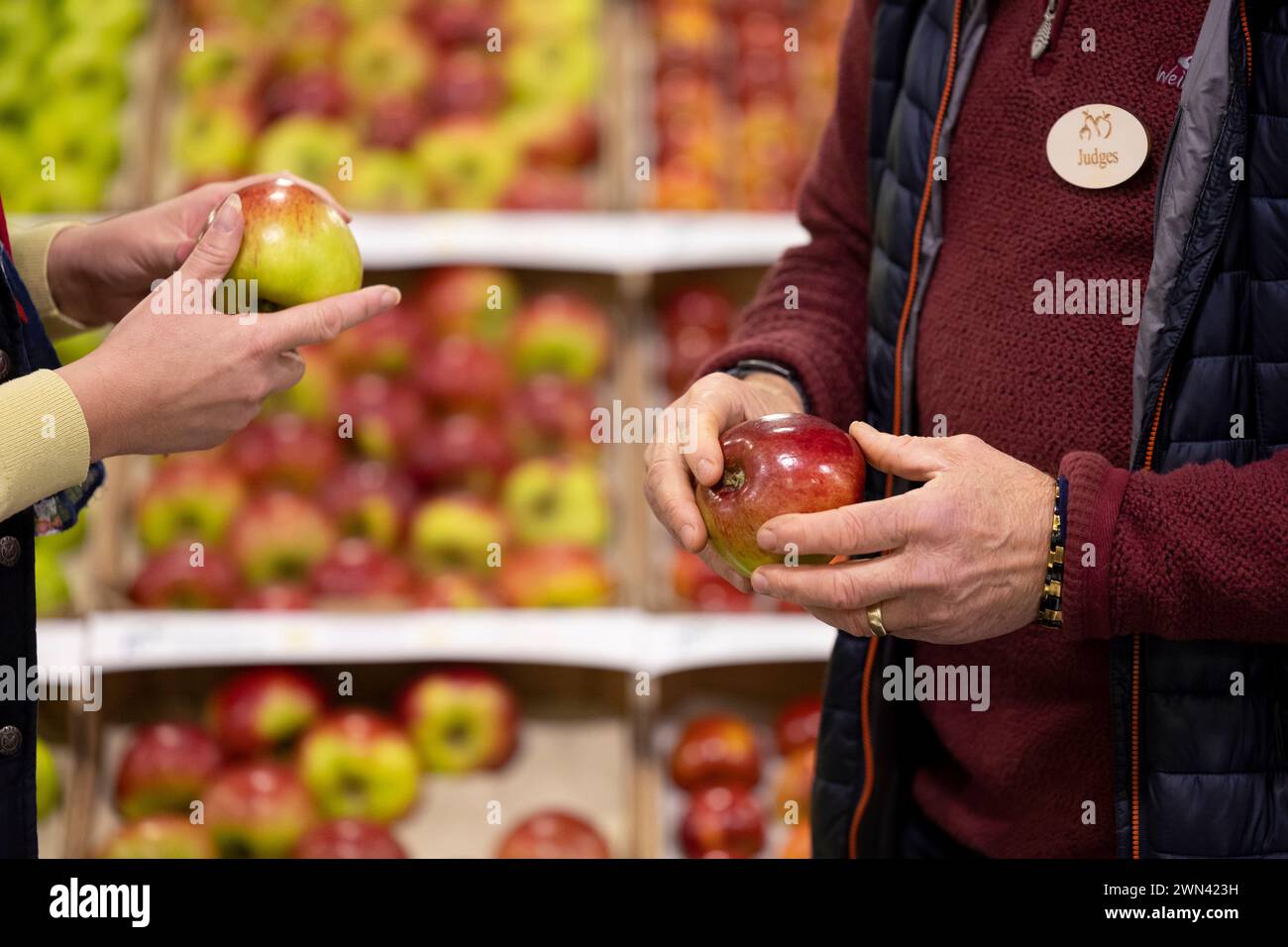 01/11/22 The 89th National Fruit Show at The Kent County Showground ...