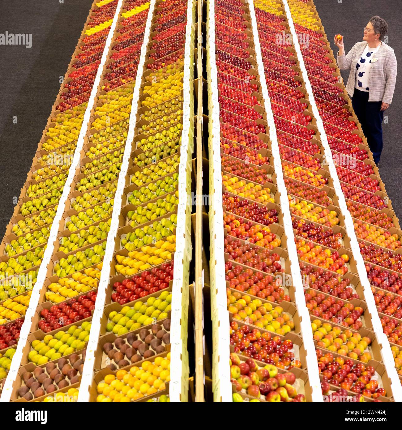 01/11/22 The 89th National Fruit Show at The Kent County Showground ...