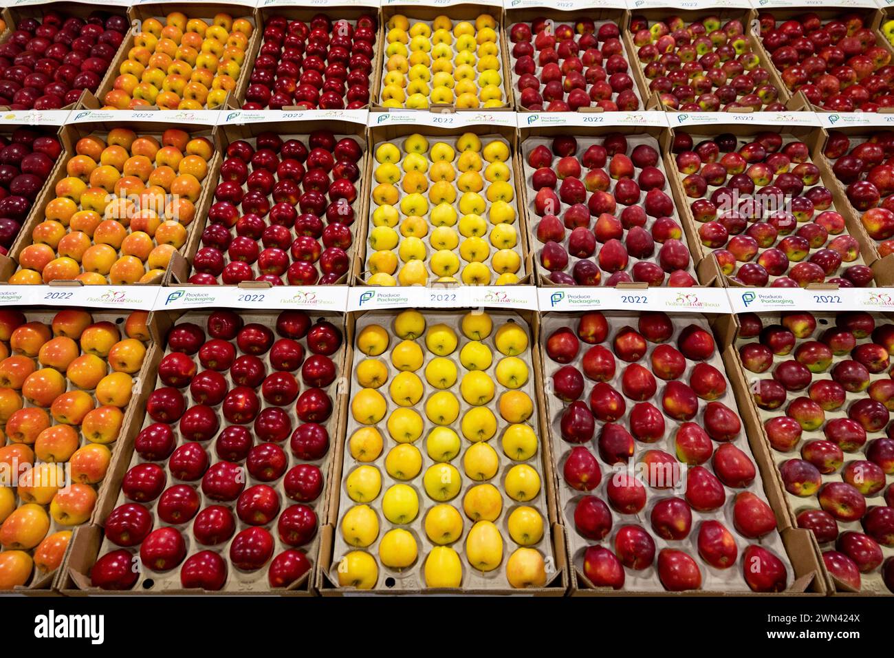 01/11/22 The 89th National Fruit Show at The Kent County Showground ...