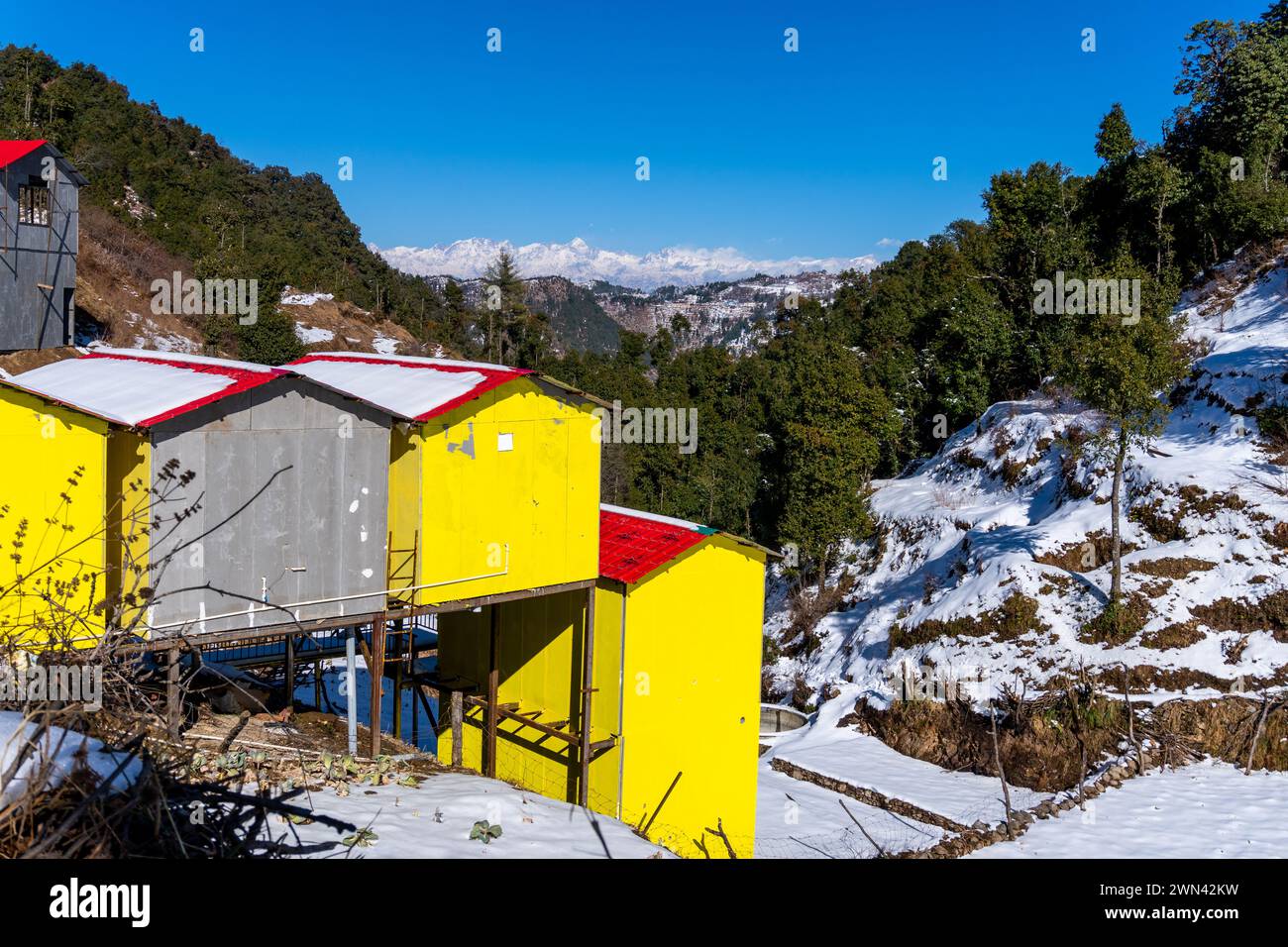 Snowfall in Mussoorie: Winter's First Blanket in the Queen of Hills ...