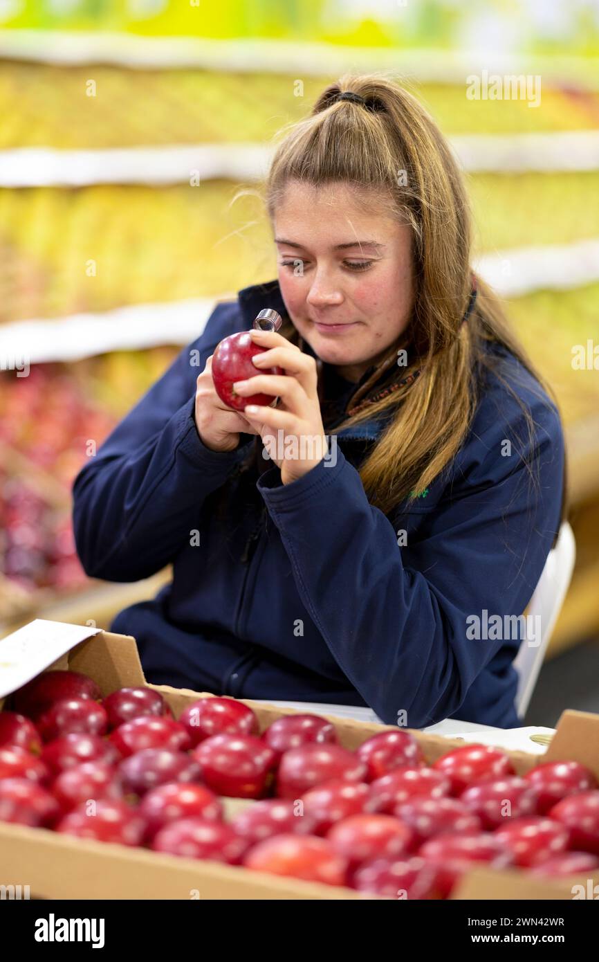 01/11/22 The 89th National Fruit Show at The Kent County Showground ...