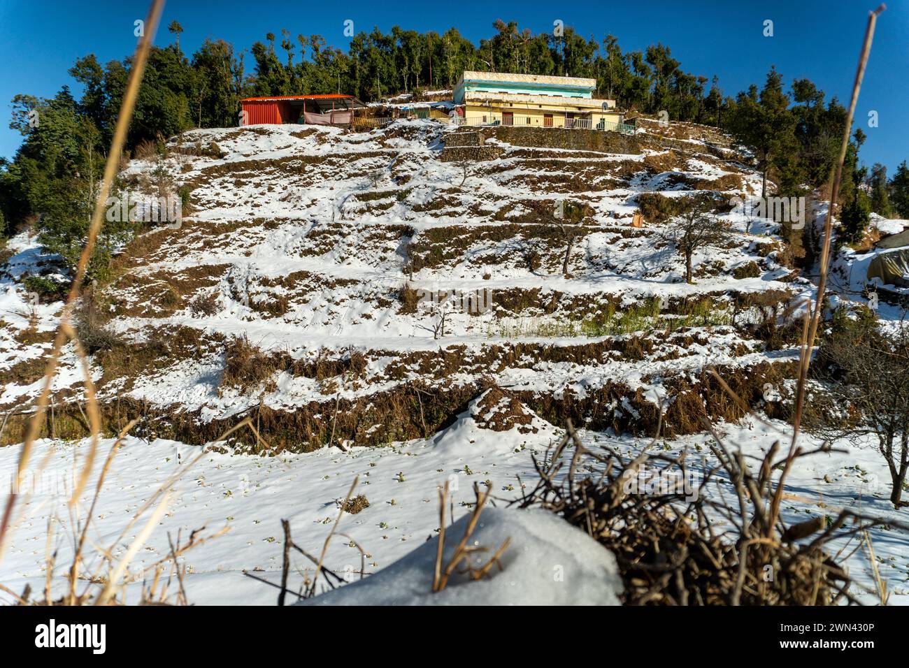 Snowfall in Mussoorie: Winter's First Blanket in the Queen of Hills ...