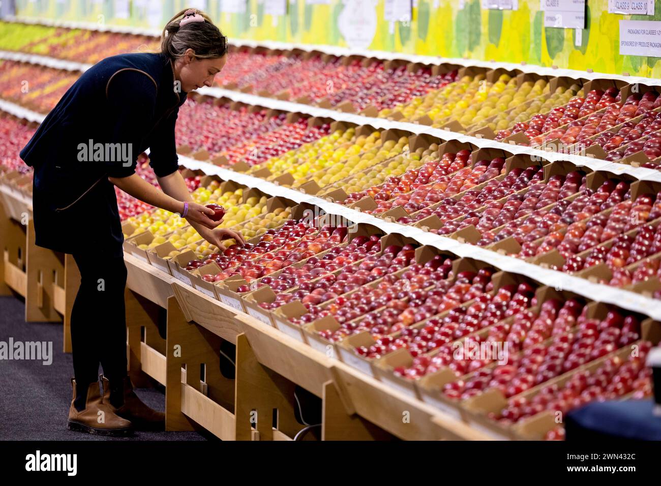 01/11/22 The 89th National Fruit Show at The Kent County Showground ...