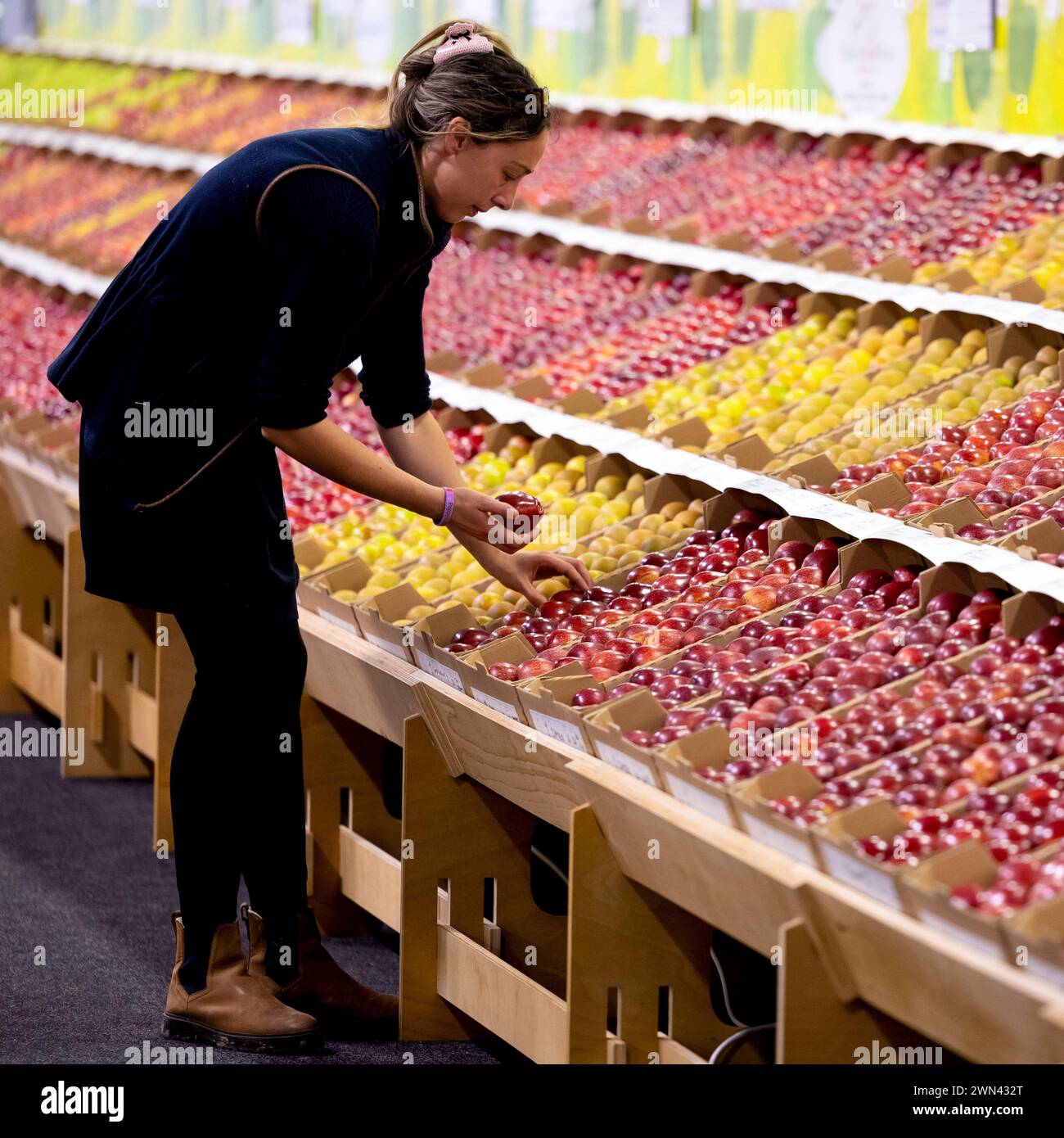 01/11/22 The 89th National Fruit Show at The Kent County Showground ...