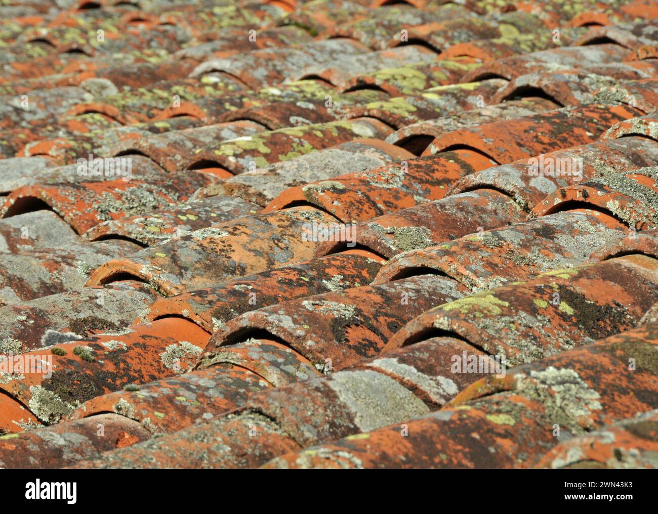 Roman style canal roof tiles common to the Charente region. Confolens ...