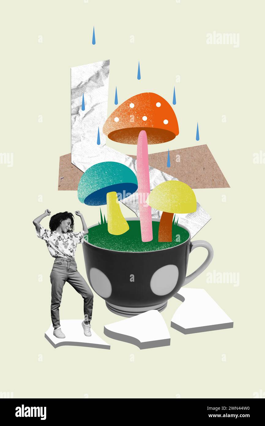 Creative retro 3d magazine collage image of funky lady wathing ...