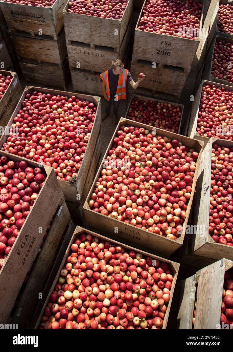 Loddington hi-res stock photography and images - Alamy