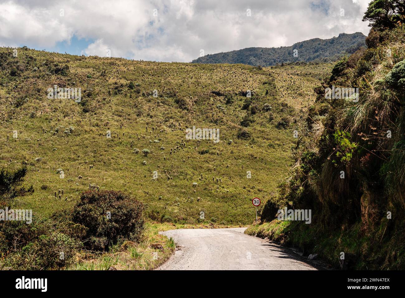 Puracé National Park, Cauca, Colombia Stock Photo - Alamy