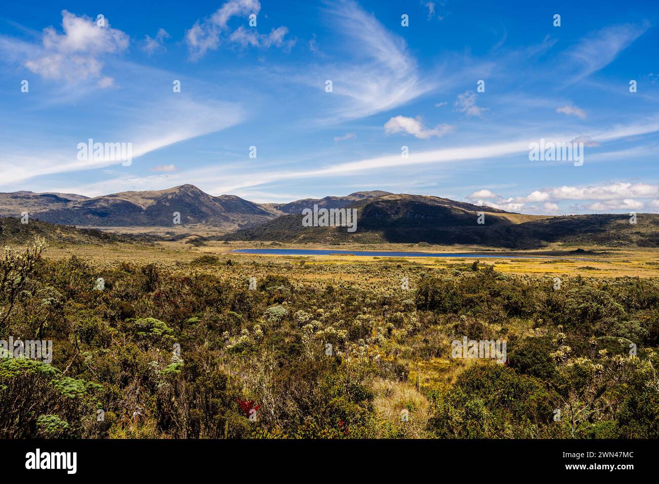Puracé National Park, Cauca, Colombia Stock Photo - Alamy