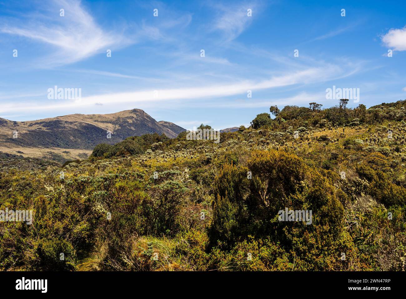 Puracé National Park, Cauca, Colombia Stock Photo - Alamy