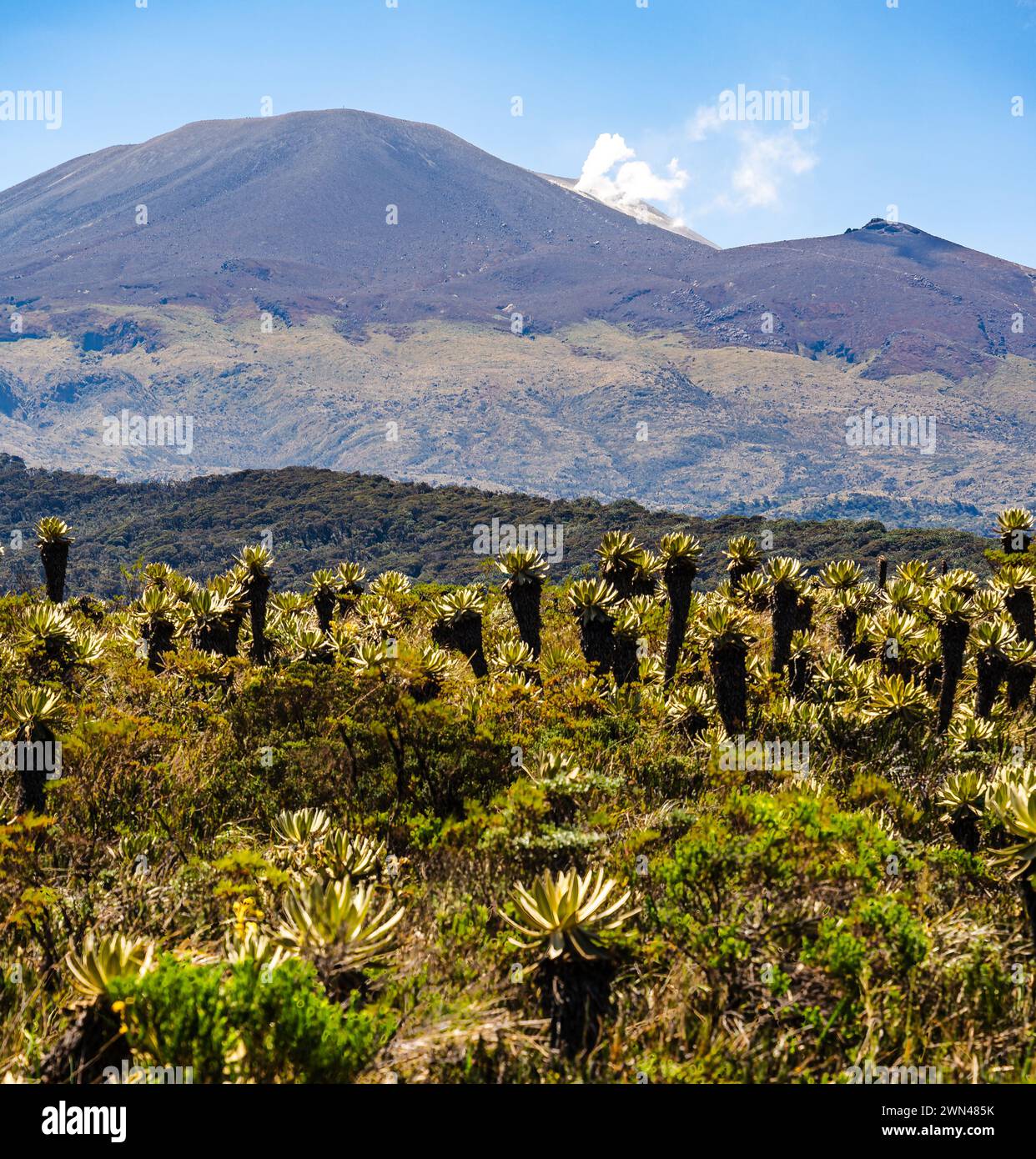 Puracé National Park, Cauca, Colombia Stock Photo - Alamy