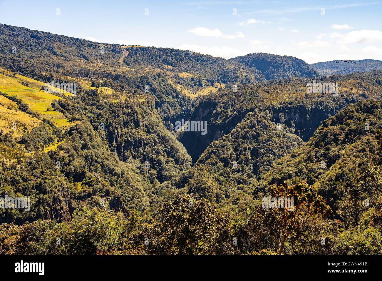 Puracé National Park, Cauca, Colombia Stock Photo - Alamy