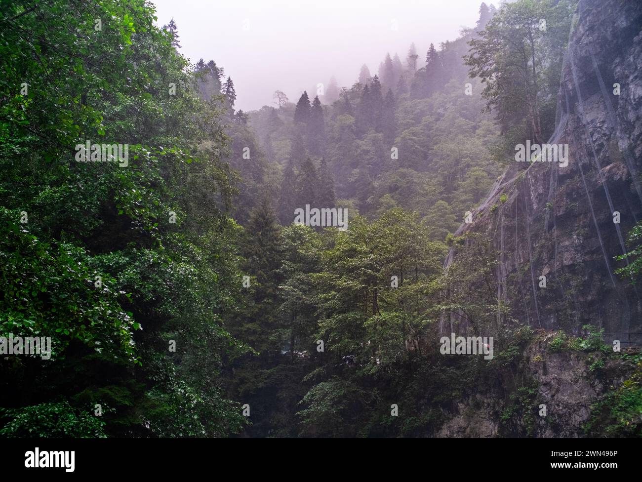 Rize Camlihemsin Sal Plateau, a unique place where green and sky come ...