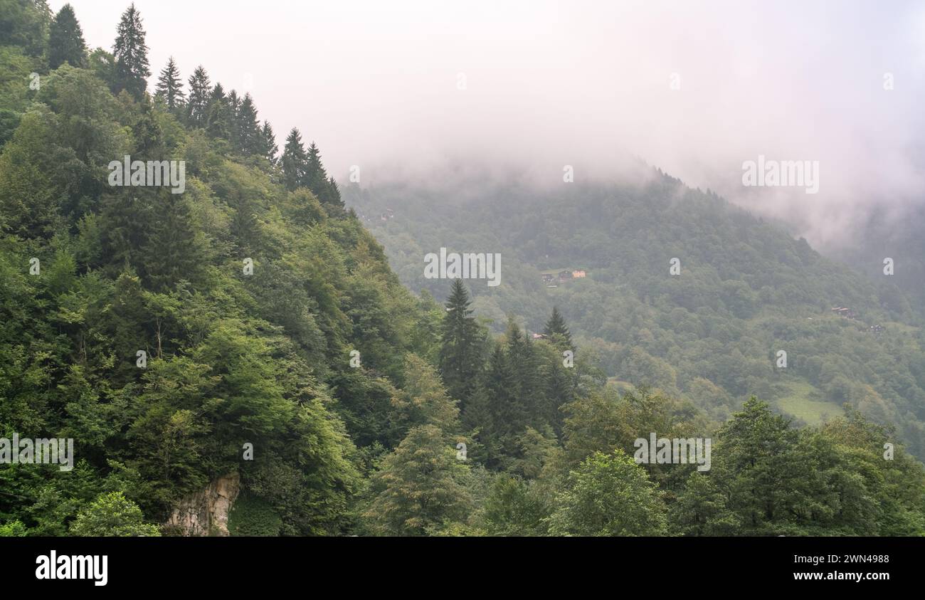 Rize Camlihemsin Sal Plateau, a unique place where green and sky come ...