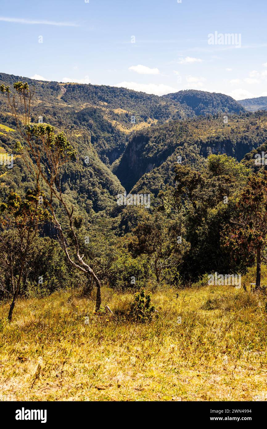 Puracé National Park, Cauca, Colombia Stock Photo - Alamy