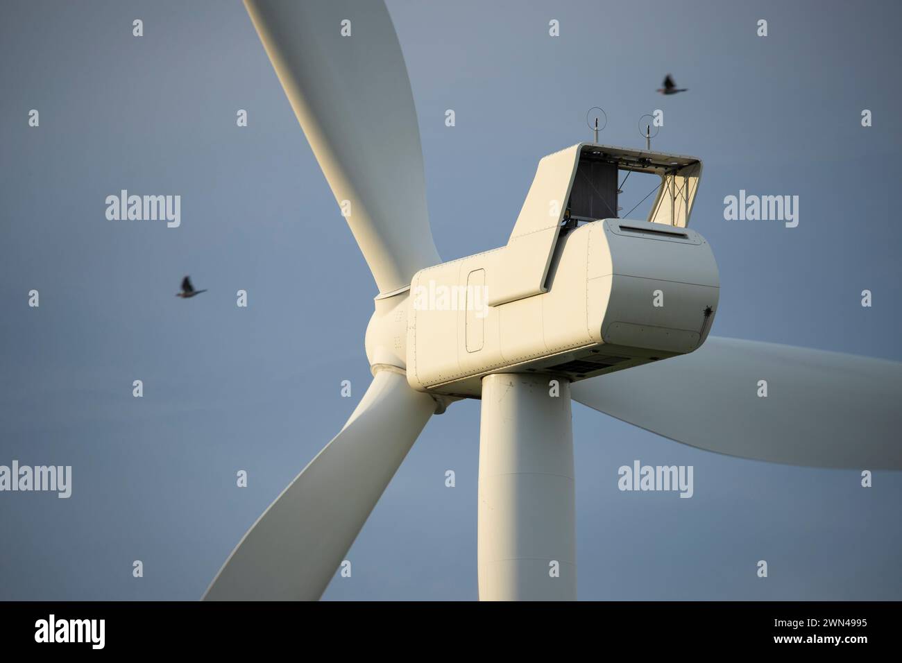 17/11/21 Tween Bridge wind farm, also known as Tween Bridge Moor ...