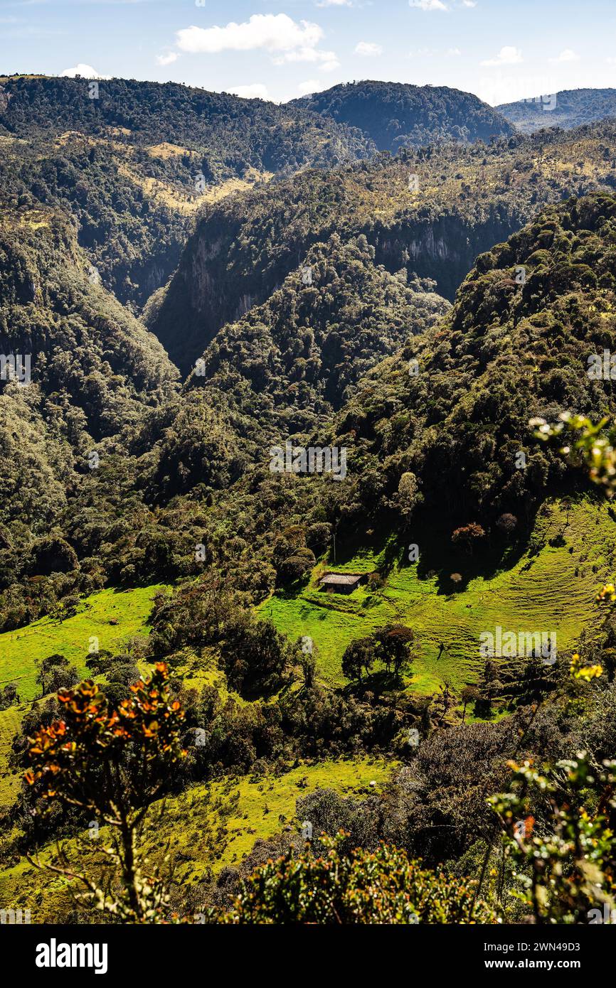 Puracé National Park, Cauca, Colombia Stock Photo - Alamy