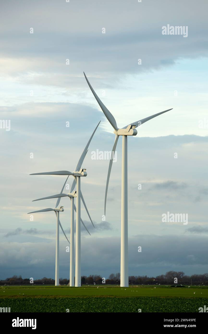 17/11/21 Tween Bridge wind farm, also known as Tween Bridge Moor ...