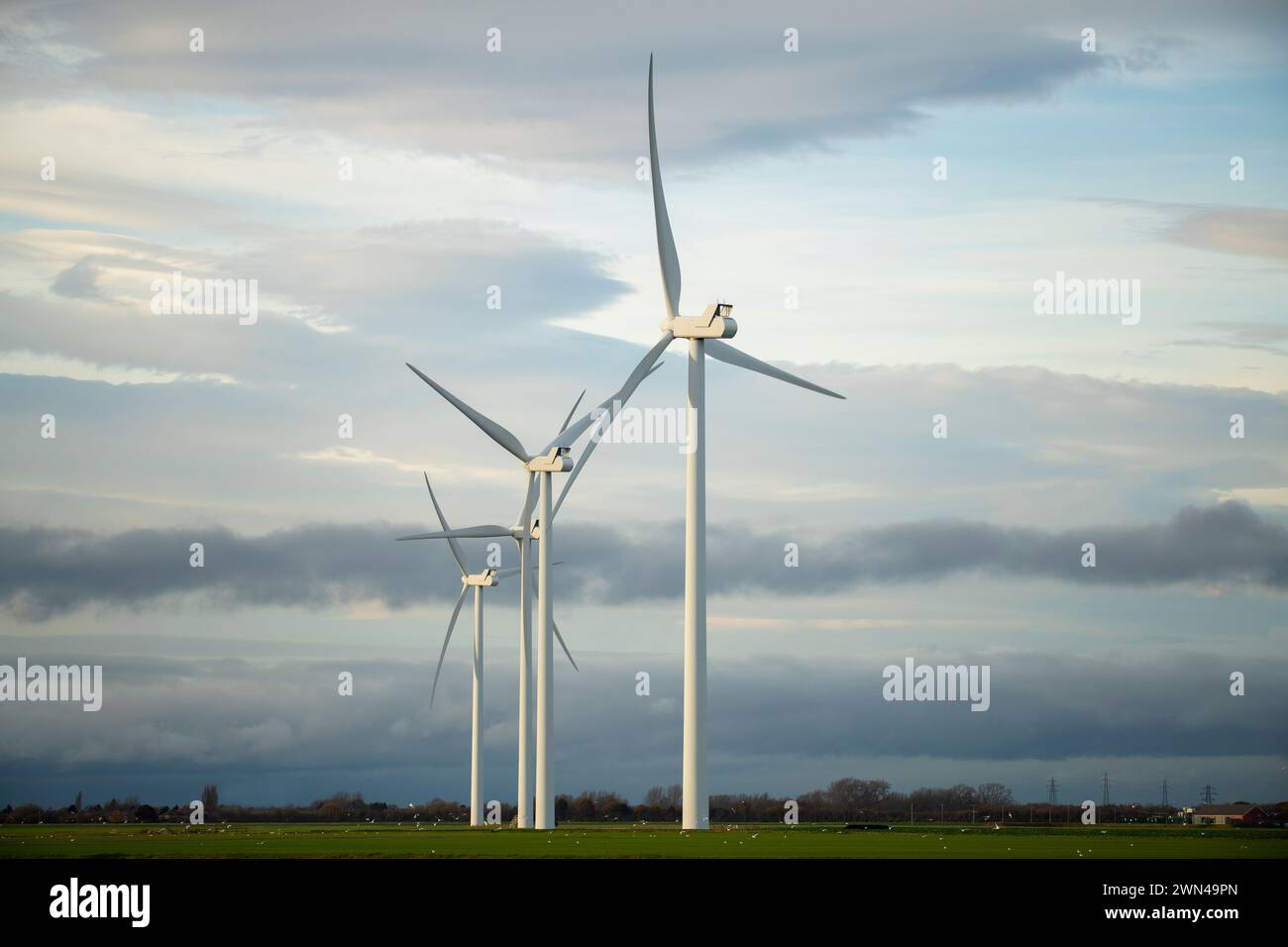 17/11/21 Tween Bridge wind farm, also known as Tween Bridge Moor ...
