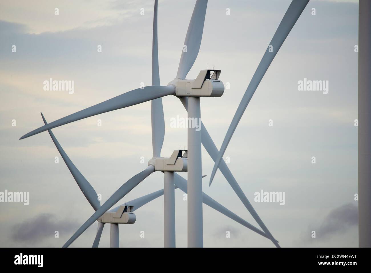 17/11/21 Tween Bridge wind farm, also known as Tween Bridge Moor ...