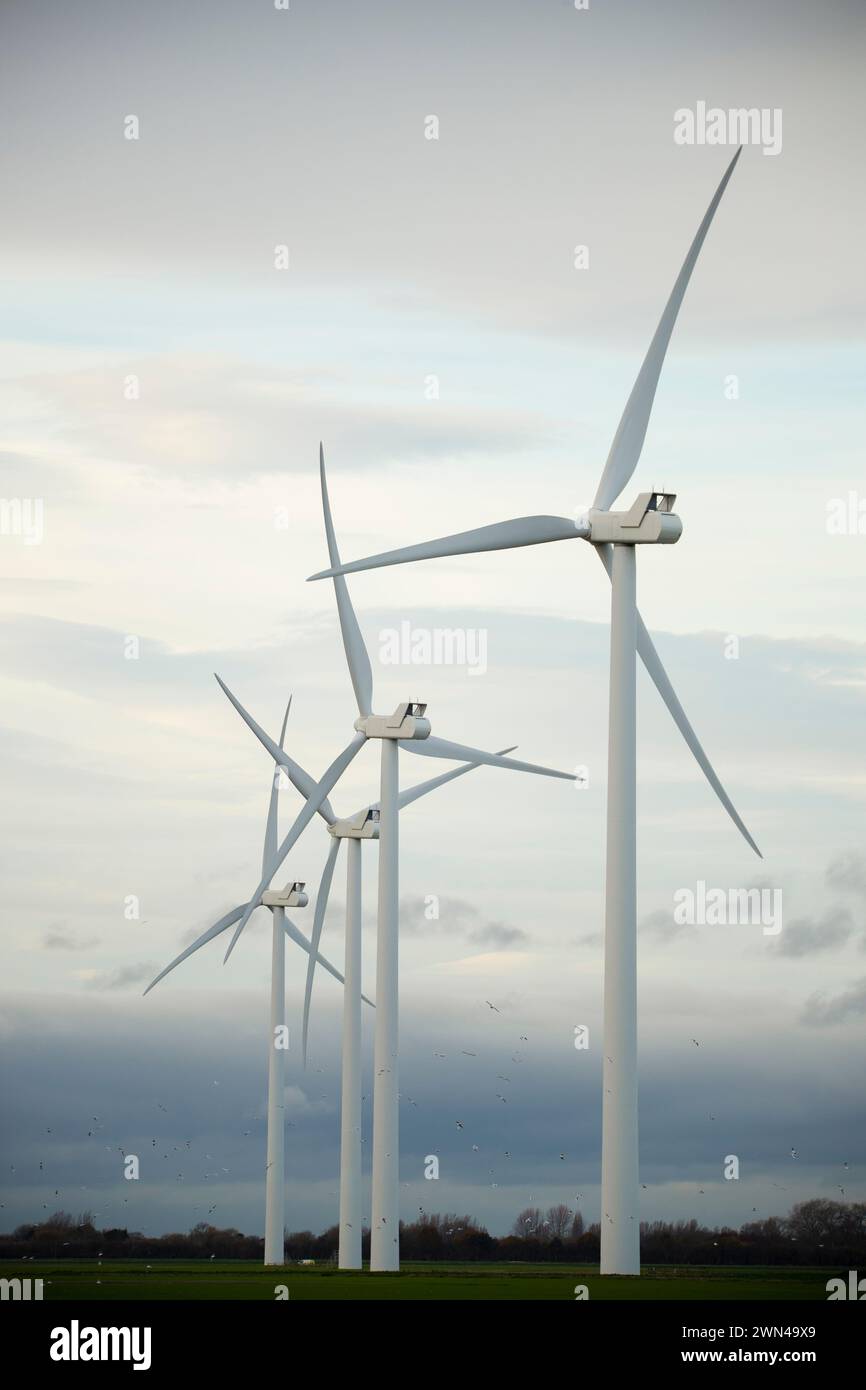 17/11/21 Tween Bridge wind farm, also known as Tween Bridge Moor ...