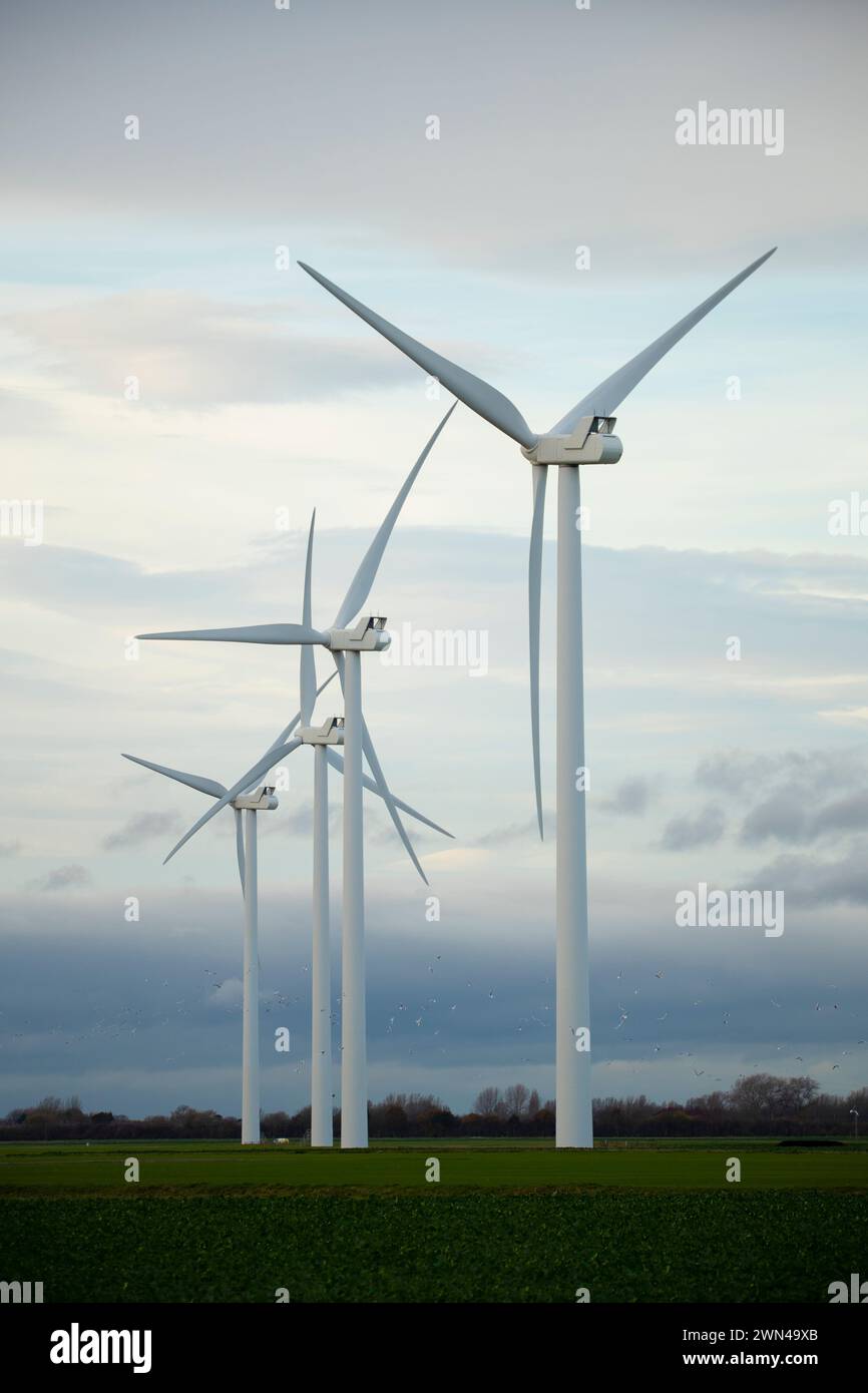 17/11/21 Tween Bridge wind farm, also known as Tween Bridge Moor ...