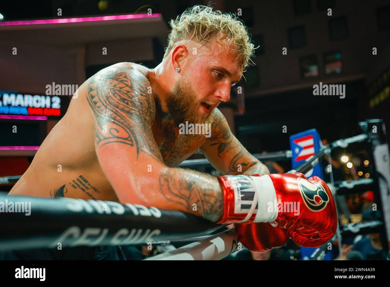 SAN JUAN, PUERTO RICO Jake “El Gallo de Dorado” Paul, is training in an ...