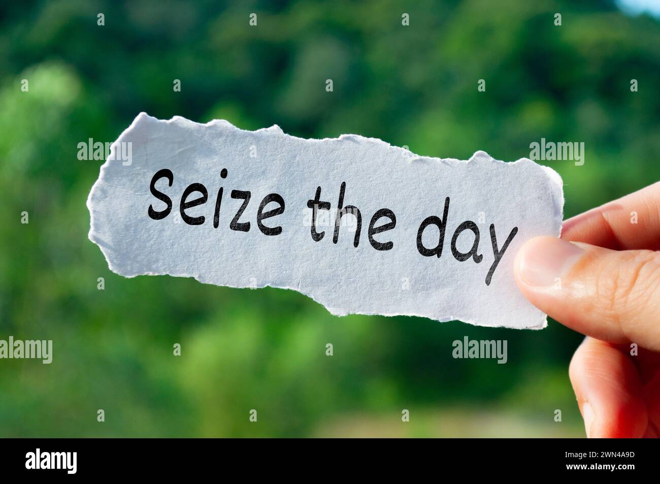 Seize the day text on torn paper with hand holding on nature background ...