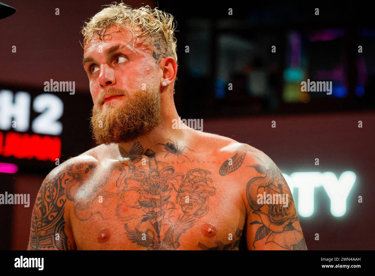 SAN JUAN, PUERTO RICO Jake “El Gallo de Dorado” Paul, is training in an ...