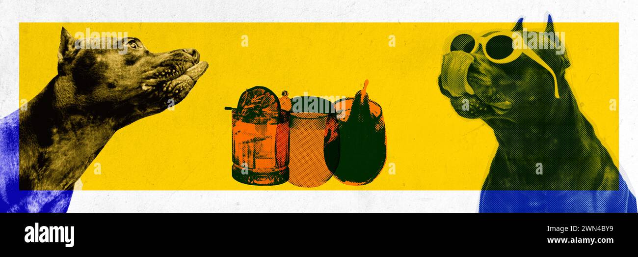 Two purebred monochrome dogs with cocktails against yellow background ...