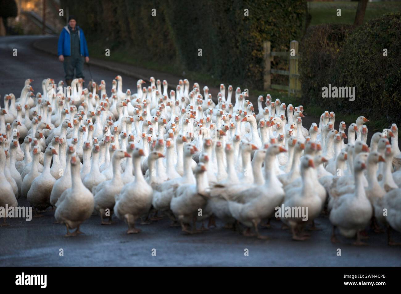 Richard botterill hi-res stock photography and images - Alamy