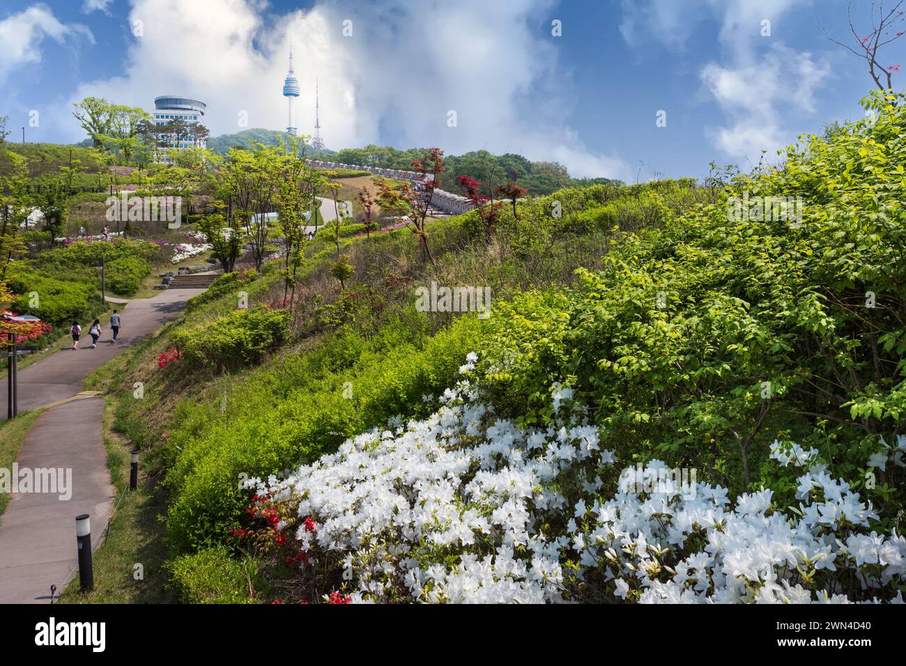 Namsan Park in spring It's daytime and there's Namsan Mountain in the ...