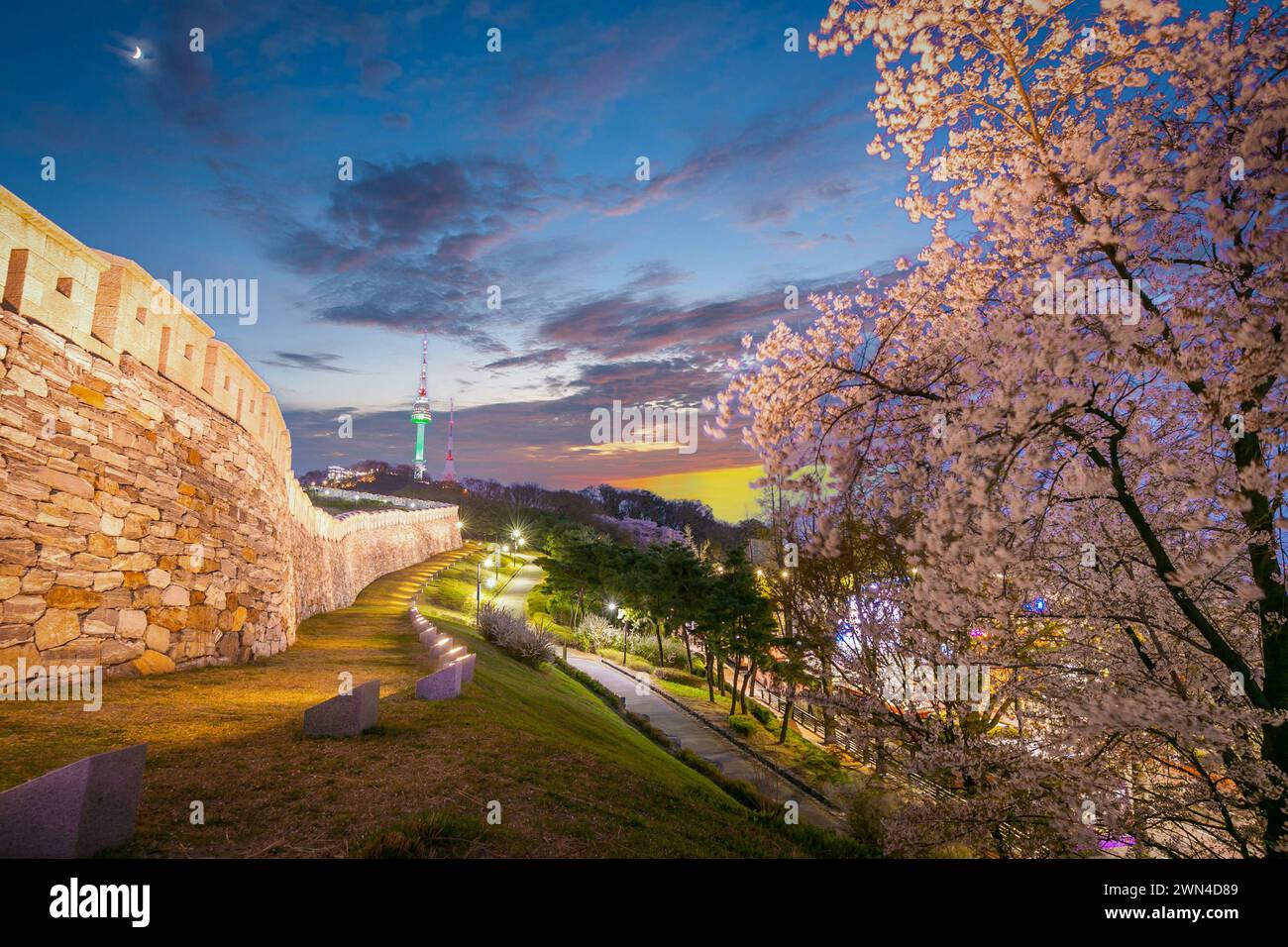 Namsan seoul tower cherry hi-res stock photography and images - Alamy