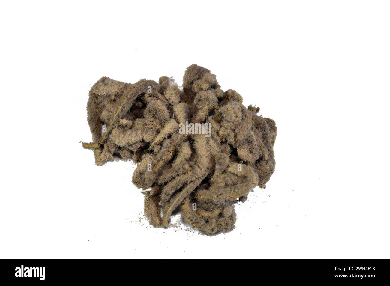 Accumulated dust and dirt, pile of dust accumulated and isolated on ...