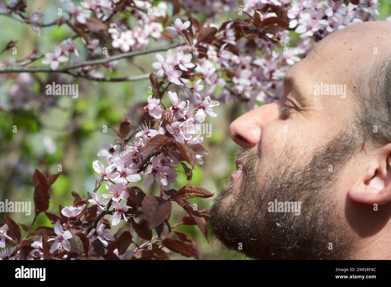 Anatomie gesicht hi-res stock photography and images - Alamy