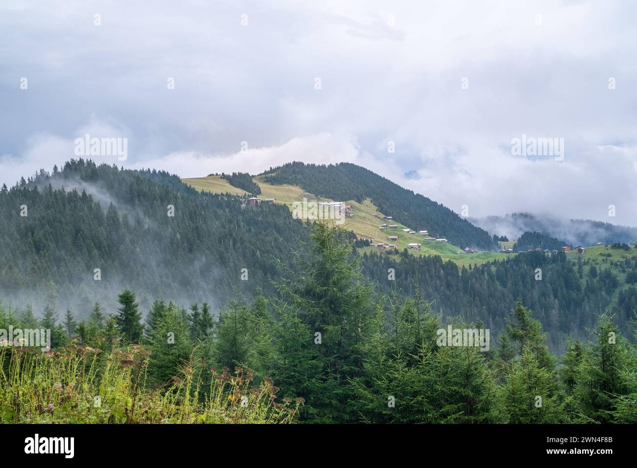 Rize Camlihemsin Sal Plateau, a unique place where green and sky come ...