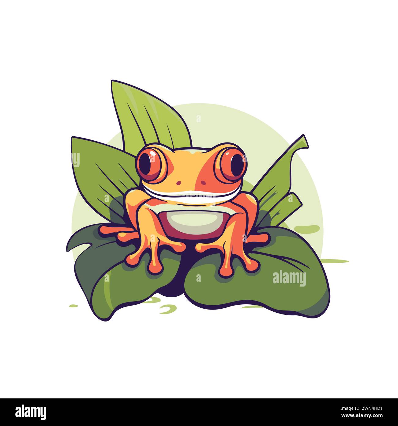 Red eyed frogs Stock Vector Images - Alamy