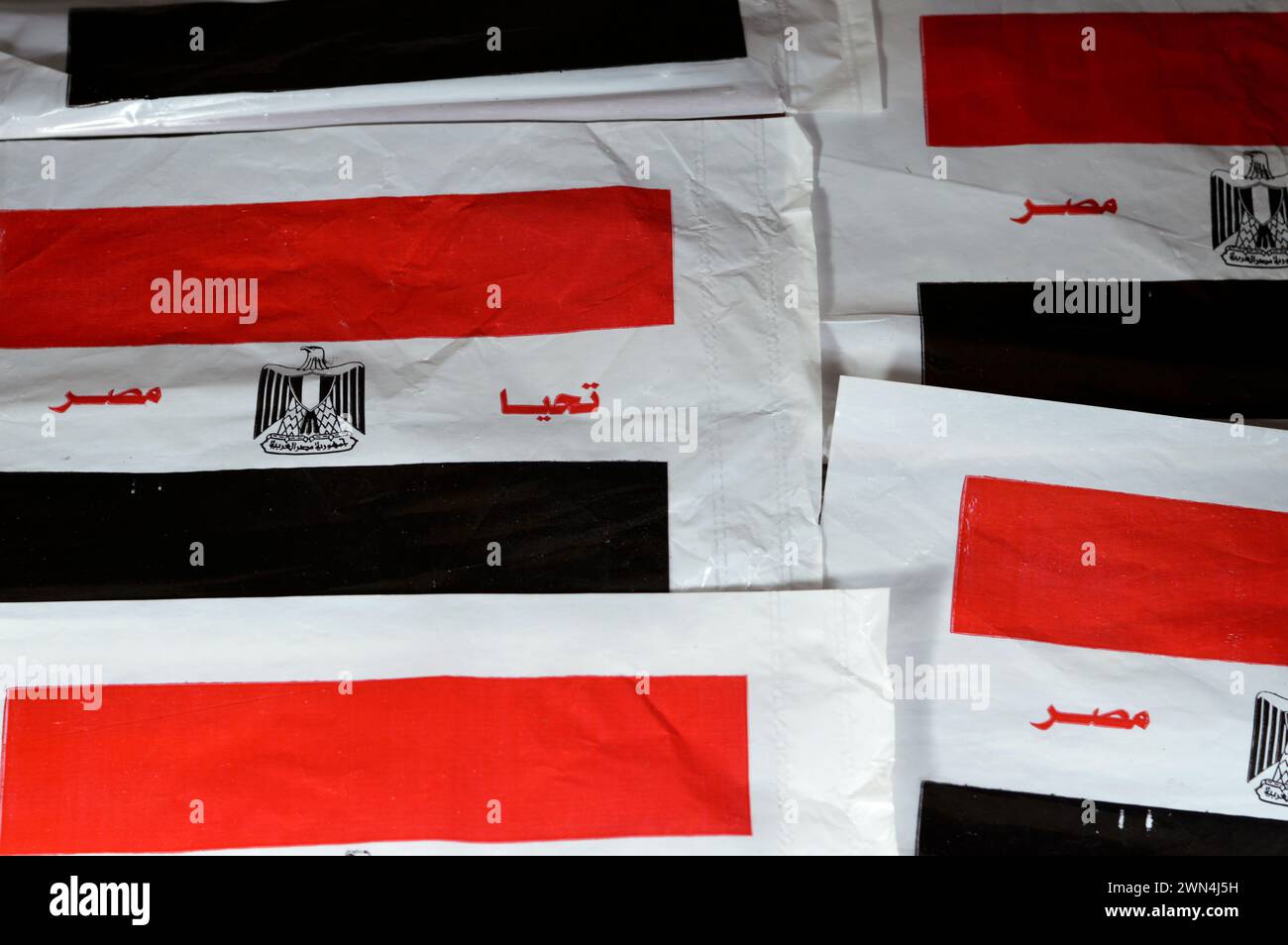 Translation of Arabic (long live Egypt), The national flag of Egypt, a ...