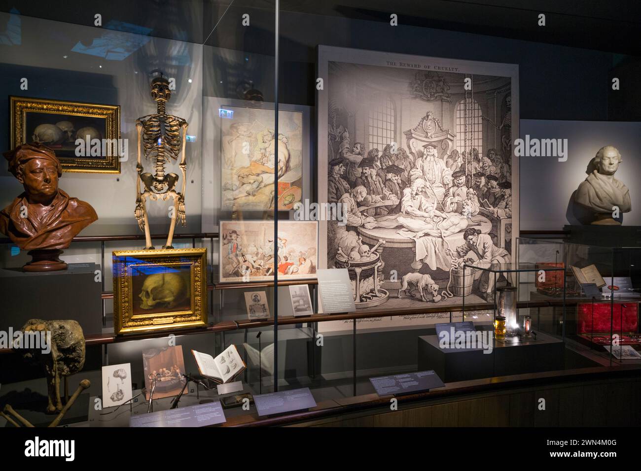 Huntarian museum hi-res stock photography and images - Alamy