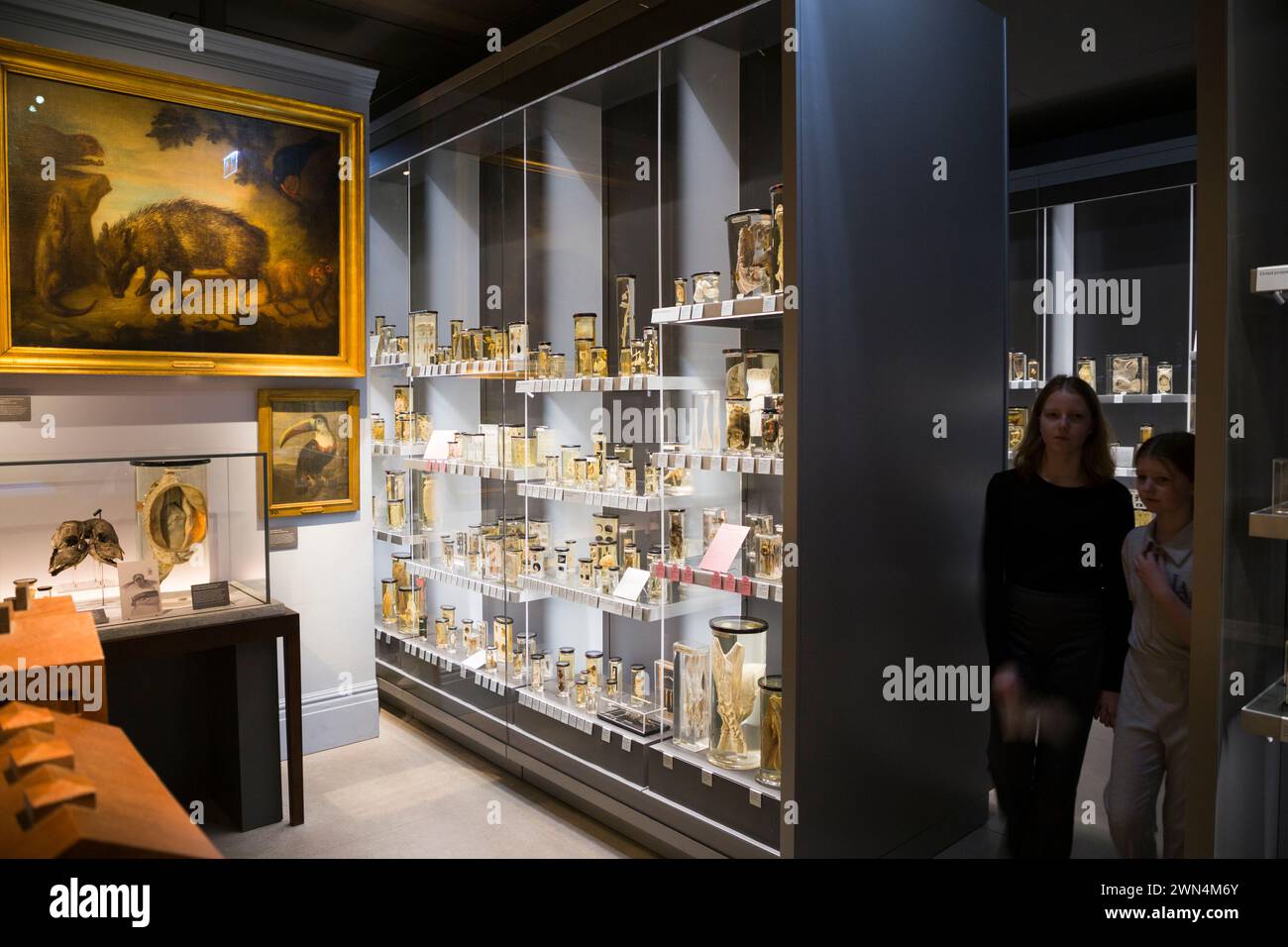 Specimen jars museum of hi-res stock photography and images - Alamy