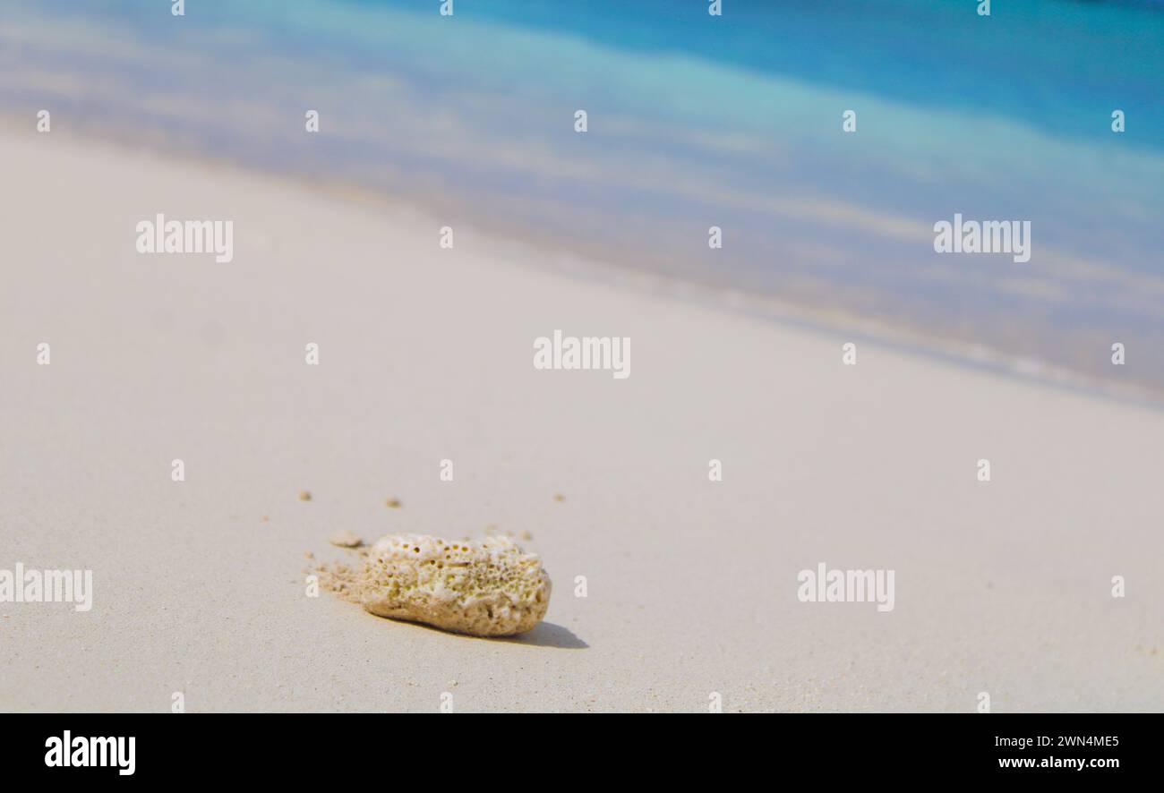 Beach family vacation hi-res stock photography and images - Alamy