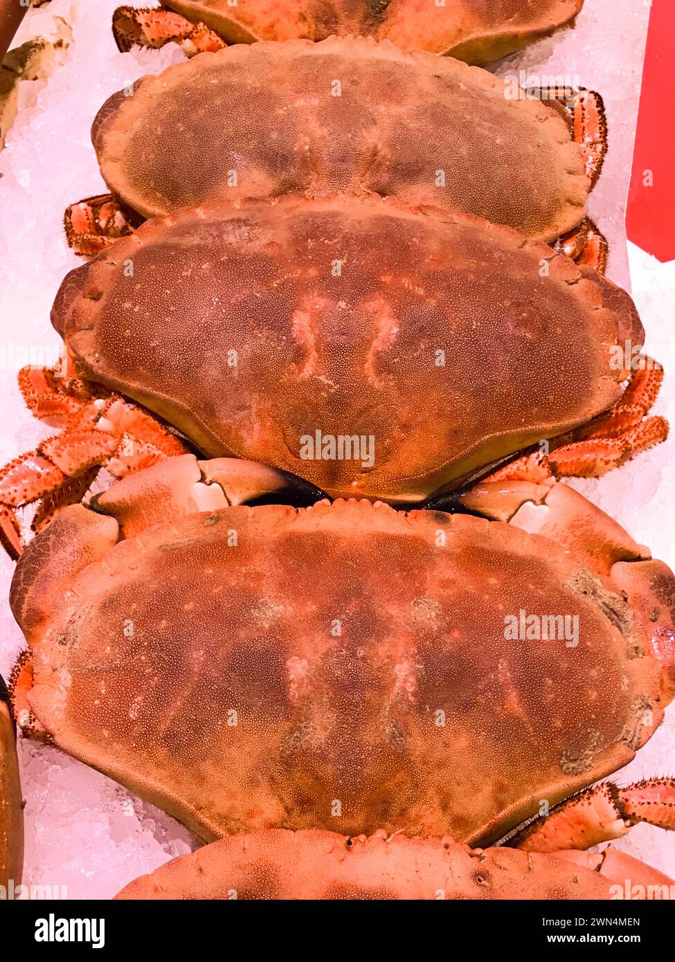 Cooked crabs for sale in the supermarket, Seafood Stock Photo - Alamy