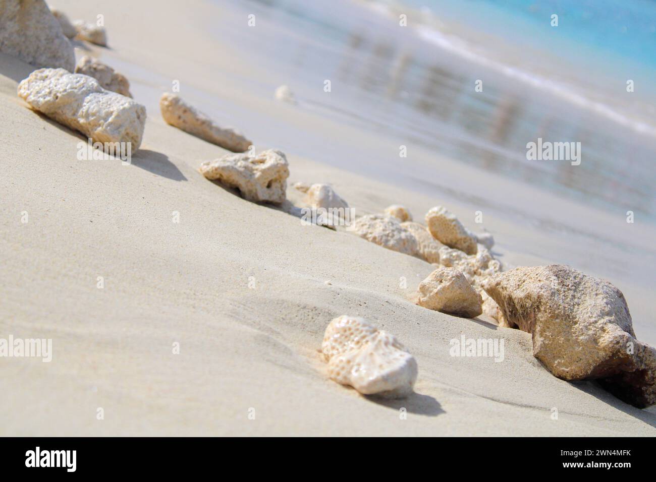 Rocks on the sand at the beach in the Bahamas island Stock Photo - Alamy