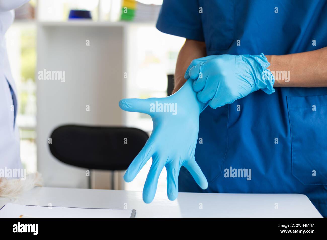 doctor is wearing blue rubber gloves prevent direct contact with ...