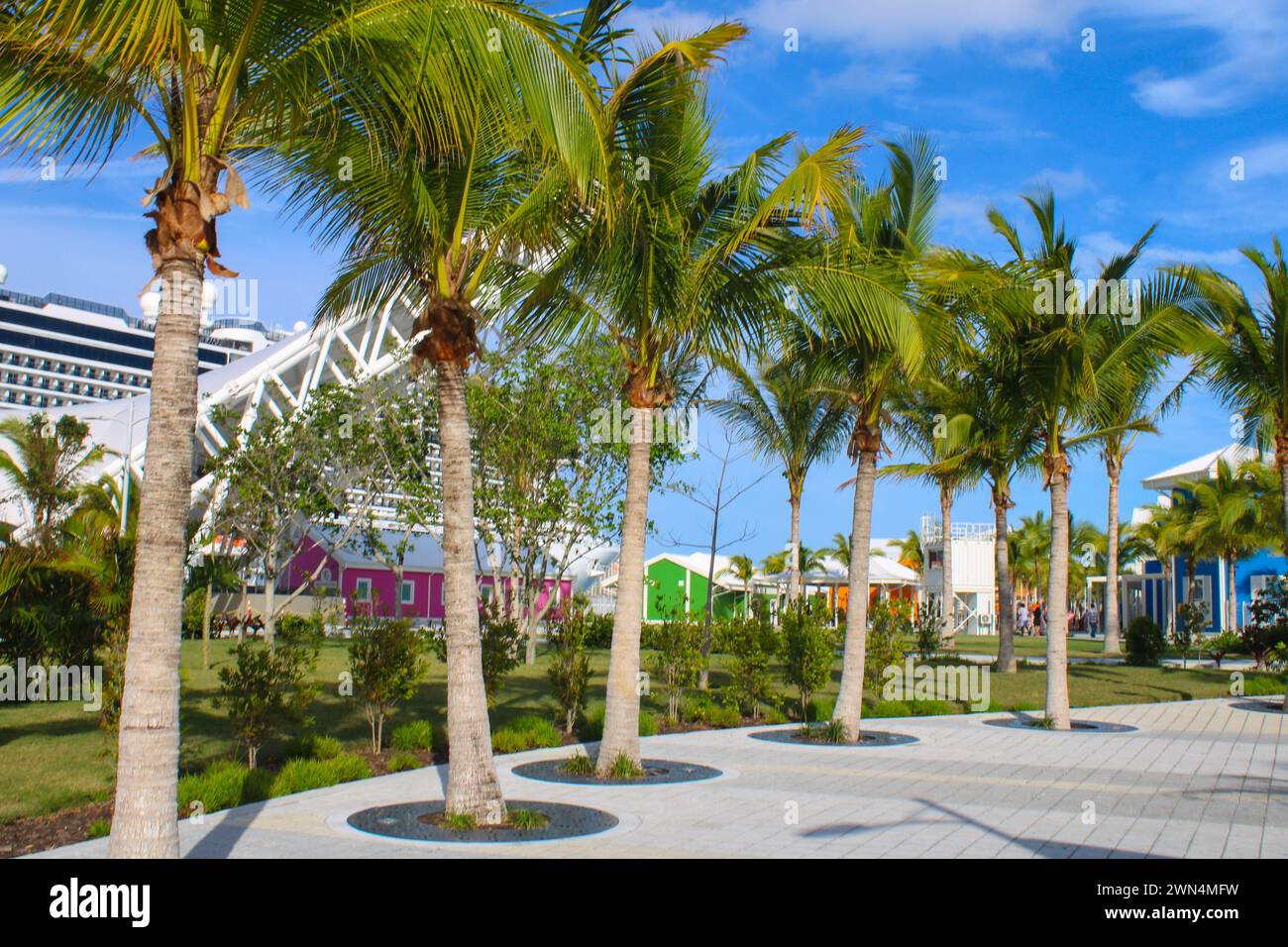 Palm trees at beach sidewalk Stock Photo - Alamy