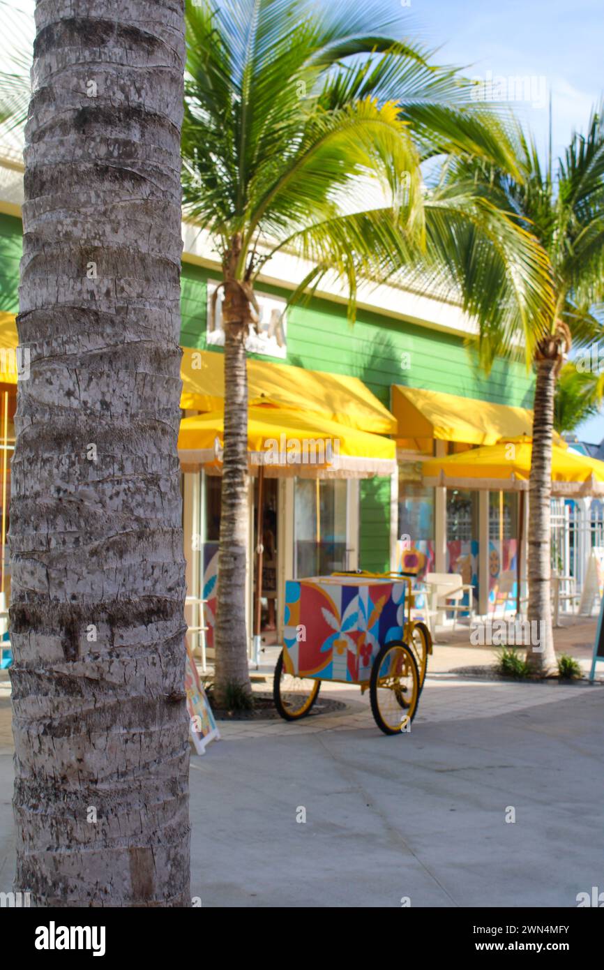 Palm tree paradise island hi-res stock photography and images - Alamy