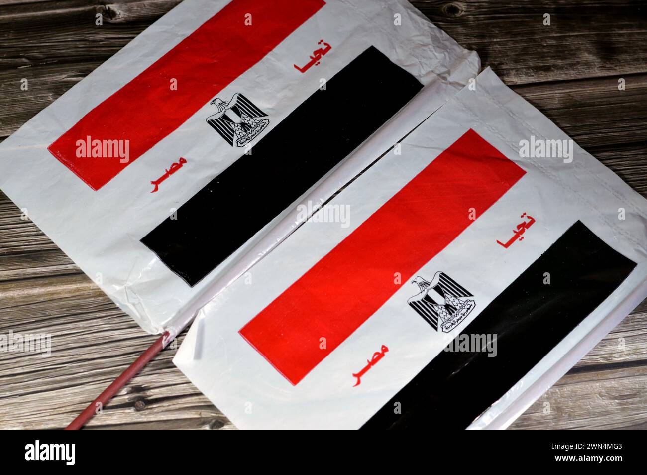 Translation of Arabic (long live Egypt), The national flag of Egypt, a ...