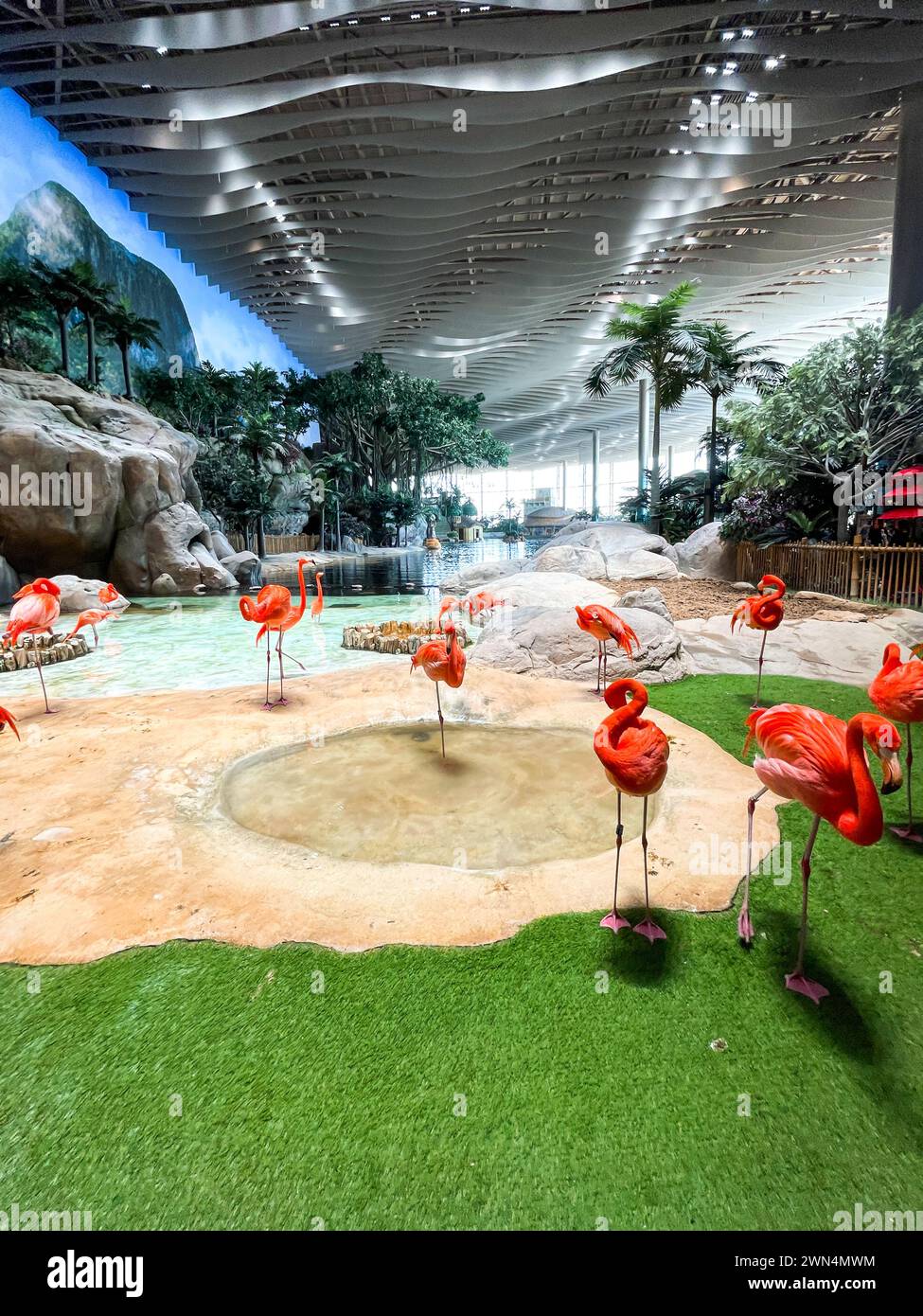 Beautiful bright pink Flamingos birds standing around water - theme ...