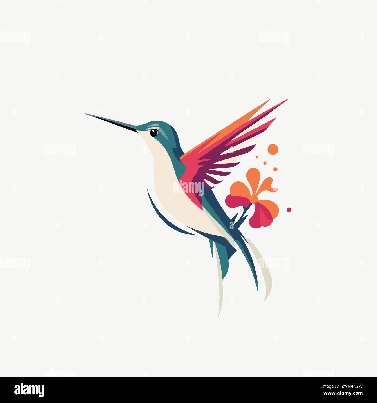 Hummingbird and flower. Vector illustration isolated on white ...